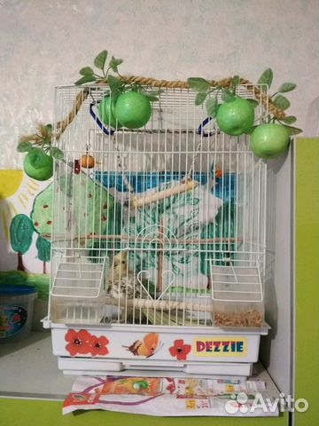 Попугай с клеткой