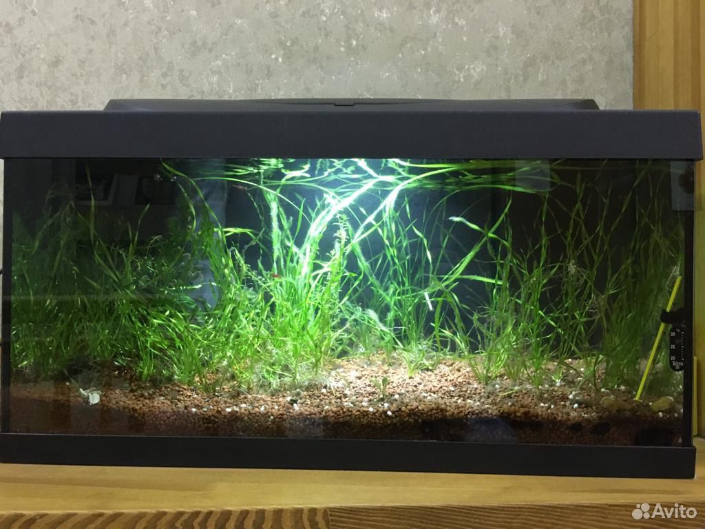 Аквариум Tetra 54 л