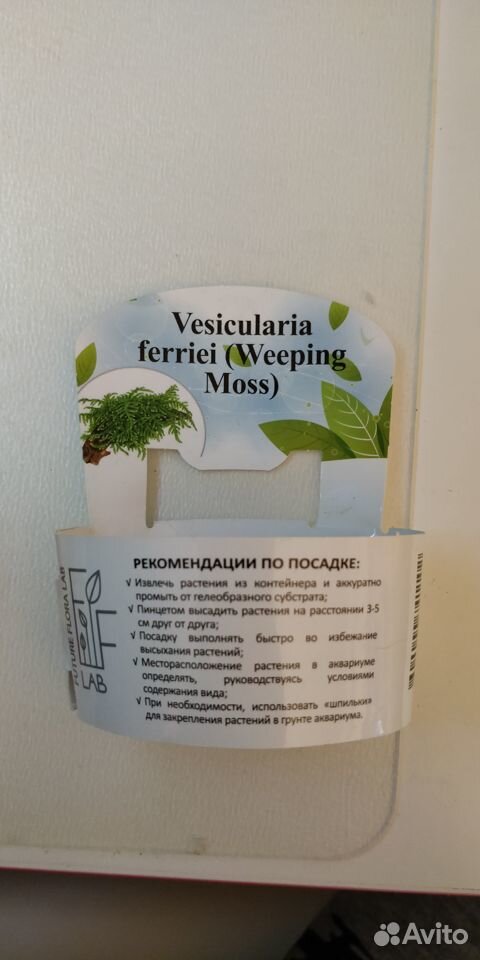 Аквариумный мох/растение