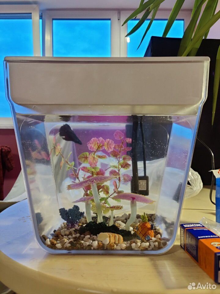 Акваферма (аквариаум)