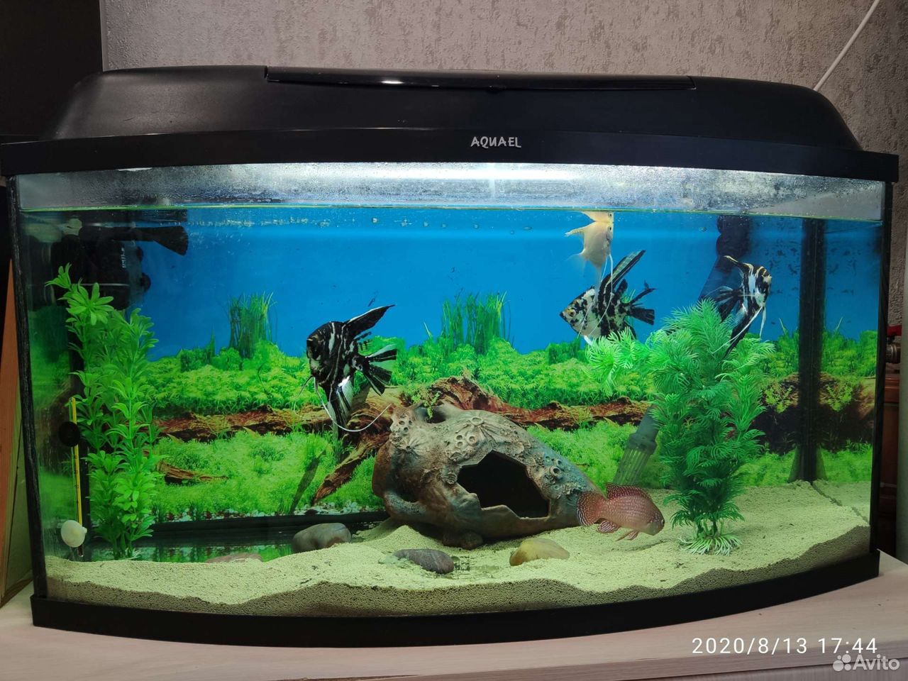 Аквариум с рыбками и фильтром