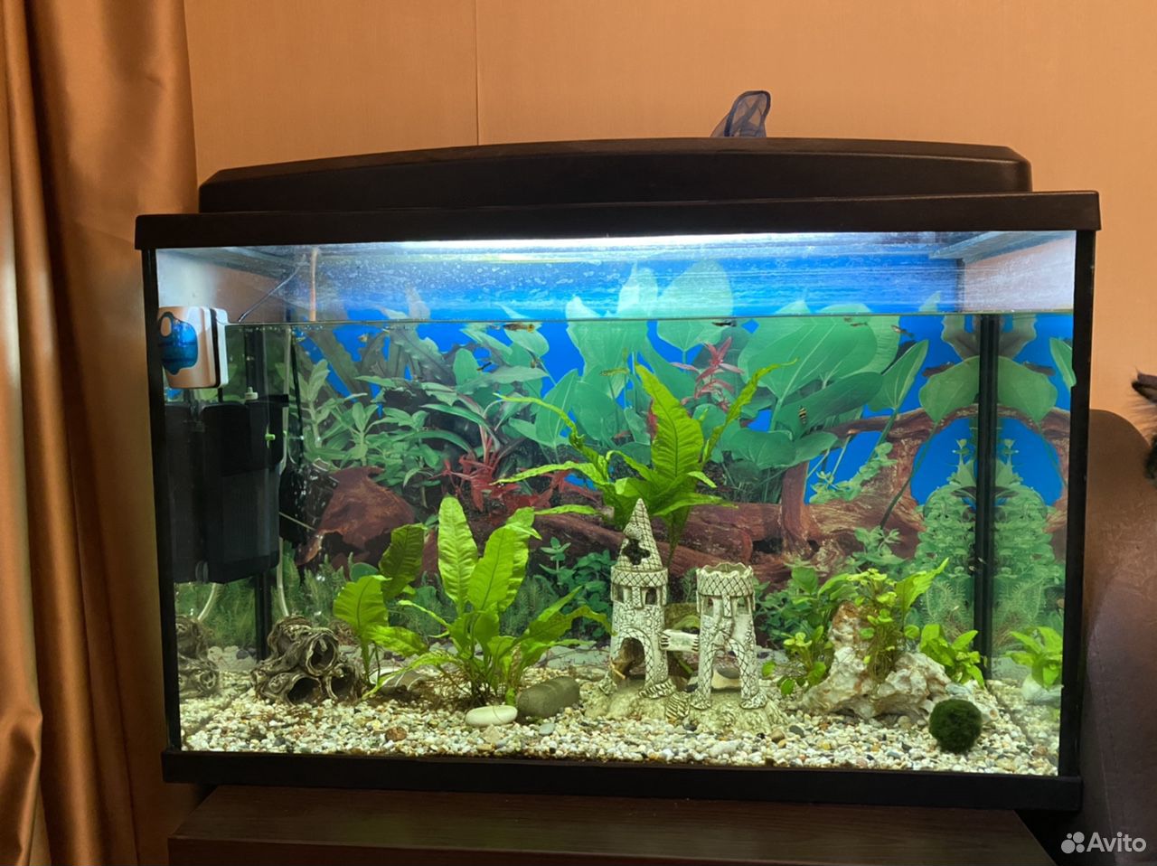 Аквариум