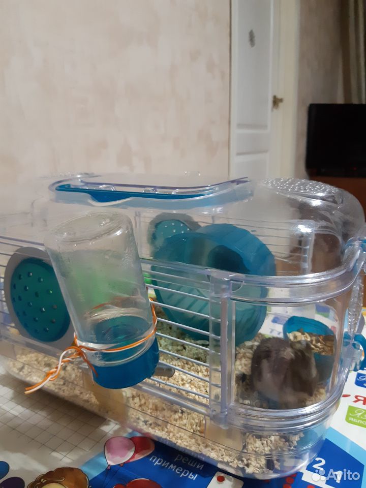 Продам хомяка с клеткой