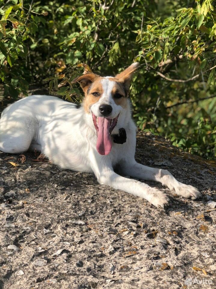 Малыш - славный парень