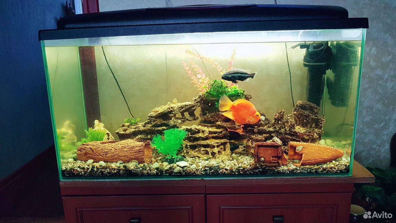 Продам Аквариум