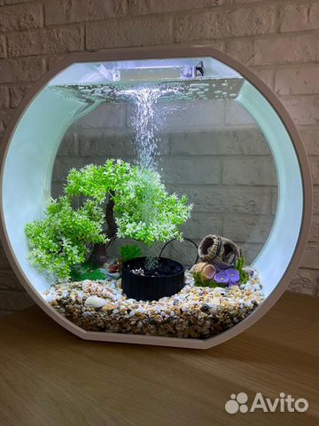 Аквариум