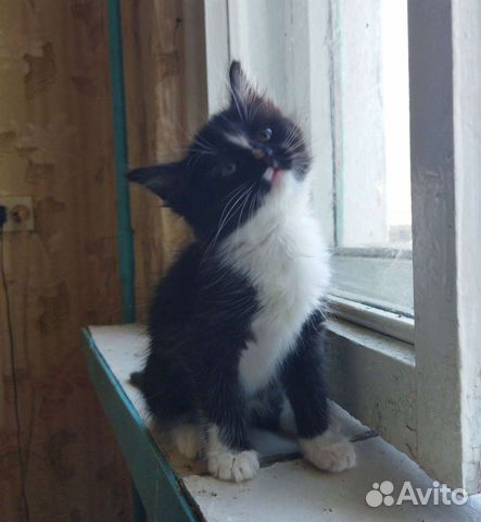 Клякса