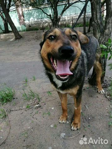 Ксюша ищет дом