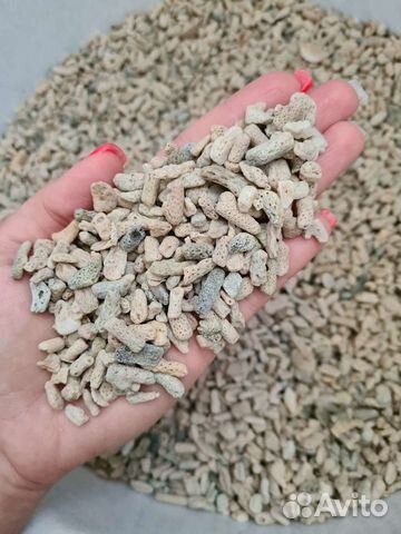 Коралловая крошка