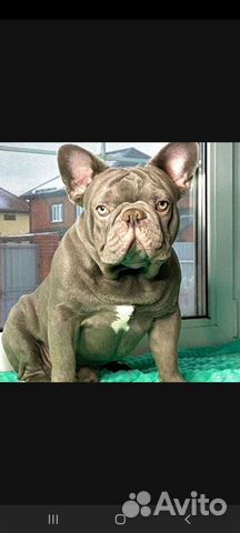 Детки для предварительного резерва