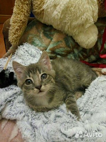 Девочка конфетка