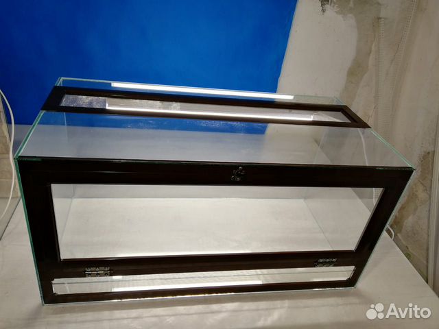 Маисовый полоз с террариумом и всем необходимым