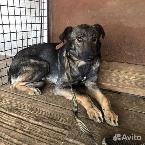 Тая живет в приюте и ждёт свою семью