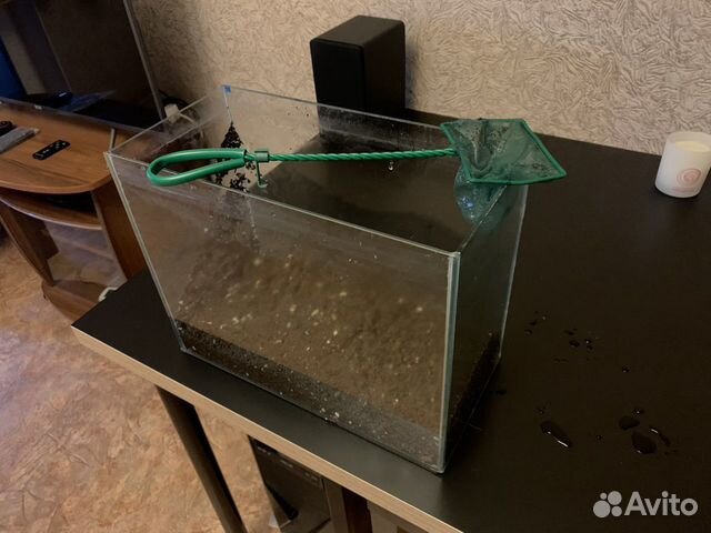 Аквариум и принадлежности