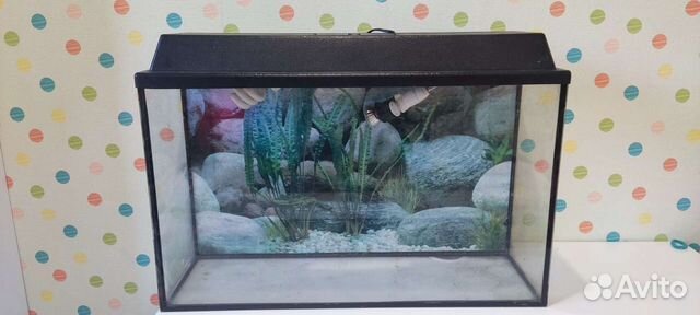 Террариум, аквариум