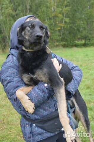 Спасите парня