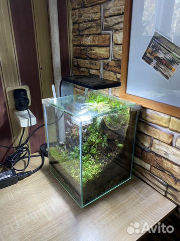 Аквариум- полюдариум 30л