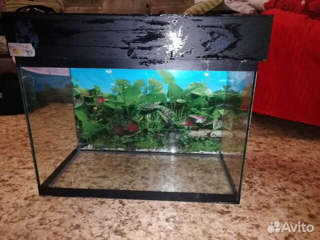 Аквариум
