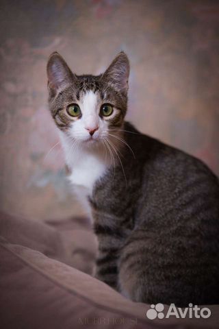 Малышка Леся ждёт семью