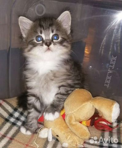 Малыш ждет маму