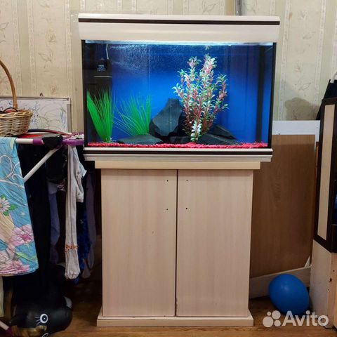 Аквариум 100л