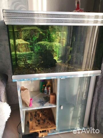 Аквариум с тумбой и насосом