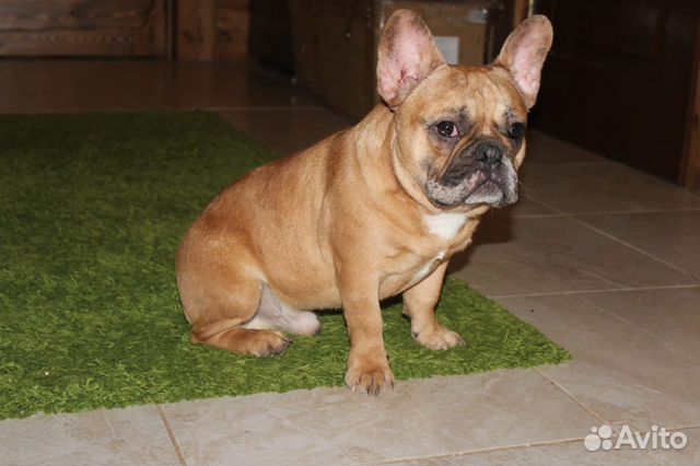 Мальчик мрамор