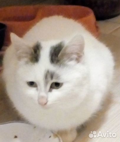 Евдокия ищет новую семью