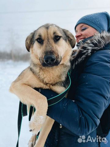 Ласкуша Брусничка скучает в клетке