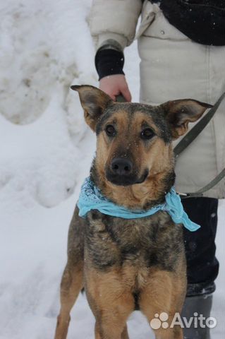 Нежная Комета не знает что такое семья