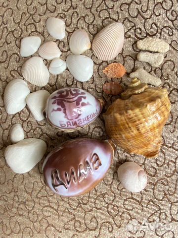 Ракушки и кораллы