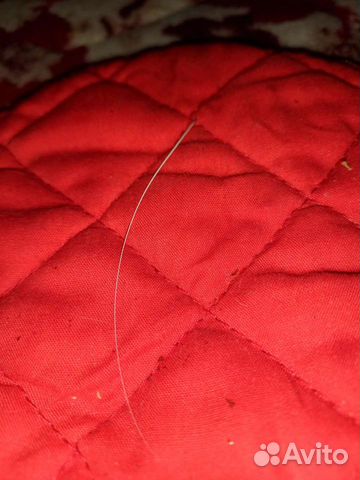 Ус абессинской кошки