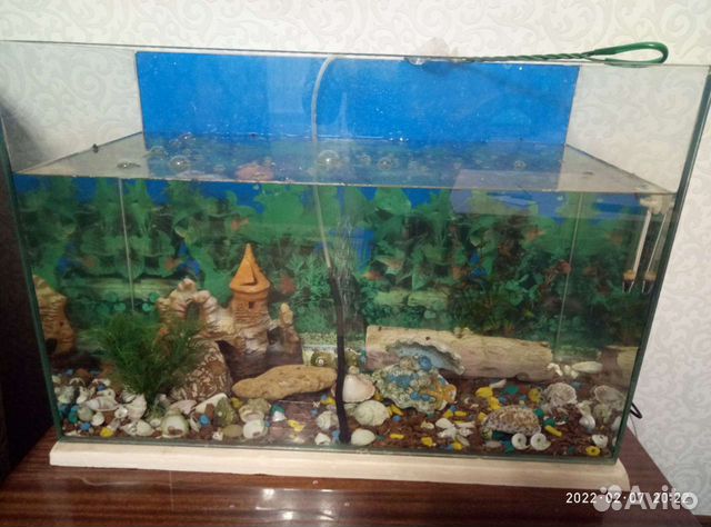 Аквариум с рыбками