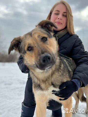 С щенячества Мирта жила без волонтёра и выгула