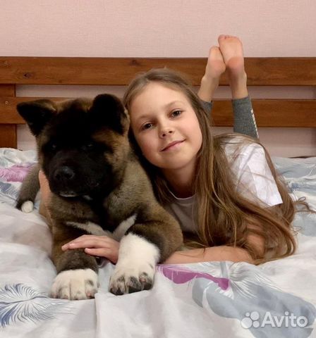 Щенок