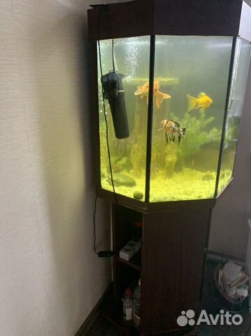 Аквариум