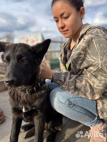 Маша ищет дом