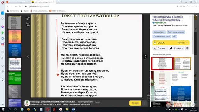 Ласковая домашняя кошечка ищет дом
