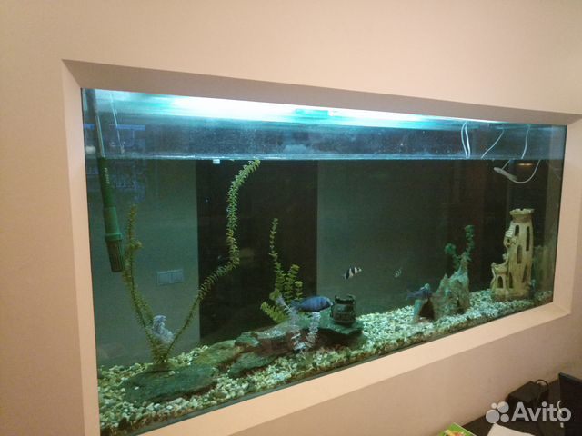 Аквариум 1650х700х370430л (внутренние размеры)