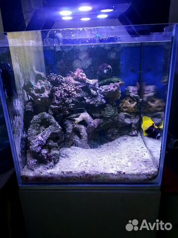 Продам морской аквариум