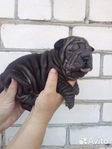 Сладкие плюшки