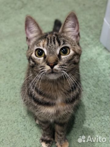 Маргоша 6 мес