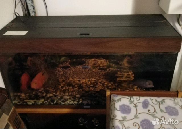Аквариум