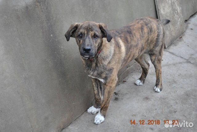 Габи и Герберт