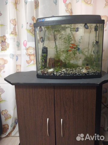 Аквариум BioDesign 60л с тумбой