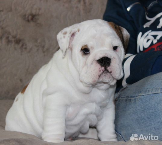 Мальчик кирюшка