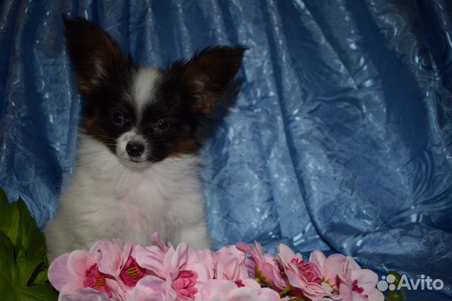 Классный парнишка