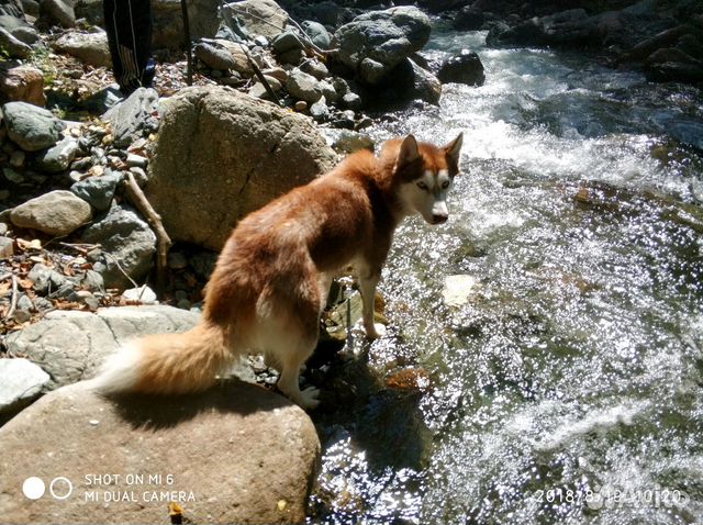 Девочка ищет жениха