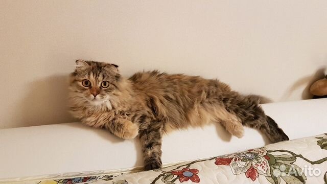 Кошечка для вязки