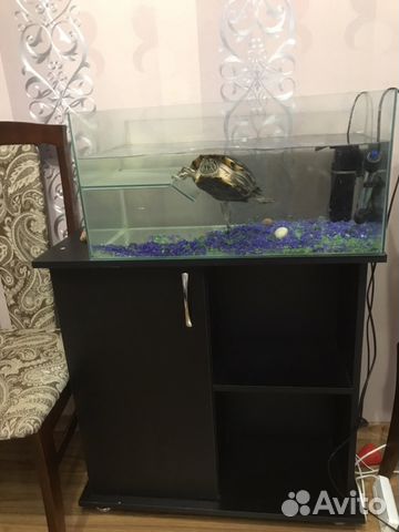 Аквариум с тумбочкой и черепахой